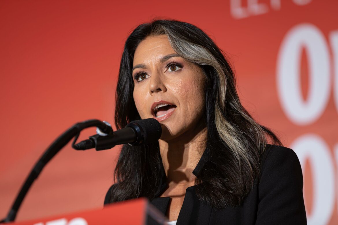 Over 250 veterans sign letter supporting Trump pick Tulsi Gabbard as DNI
