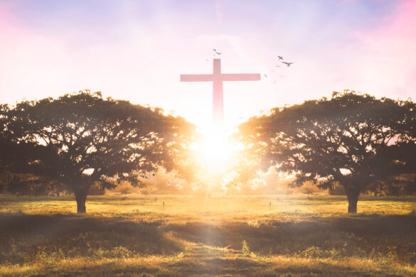 Apple removes ICE tracking apps over concerns for agent safety