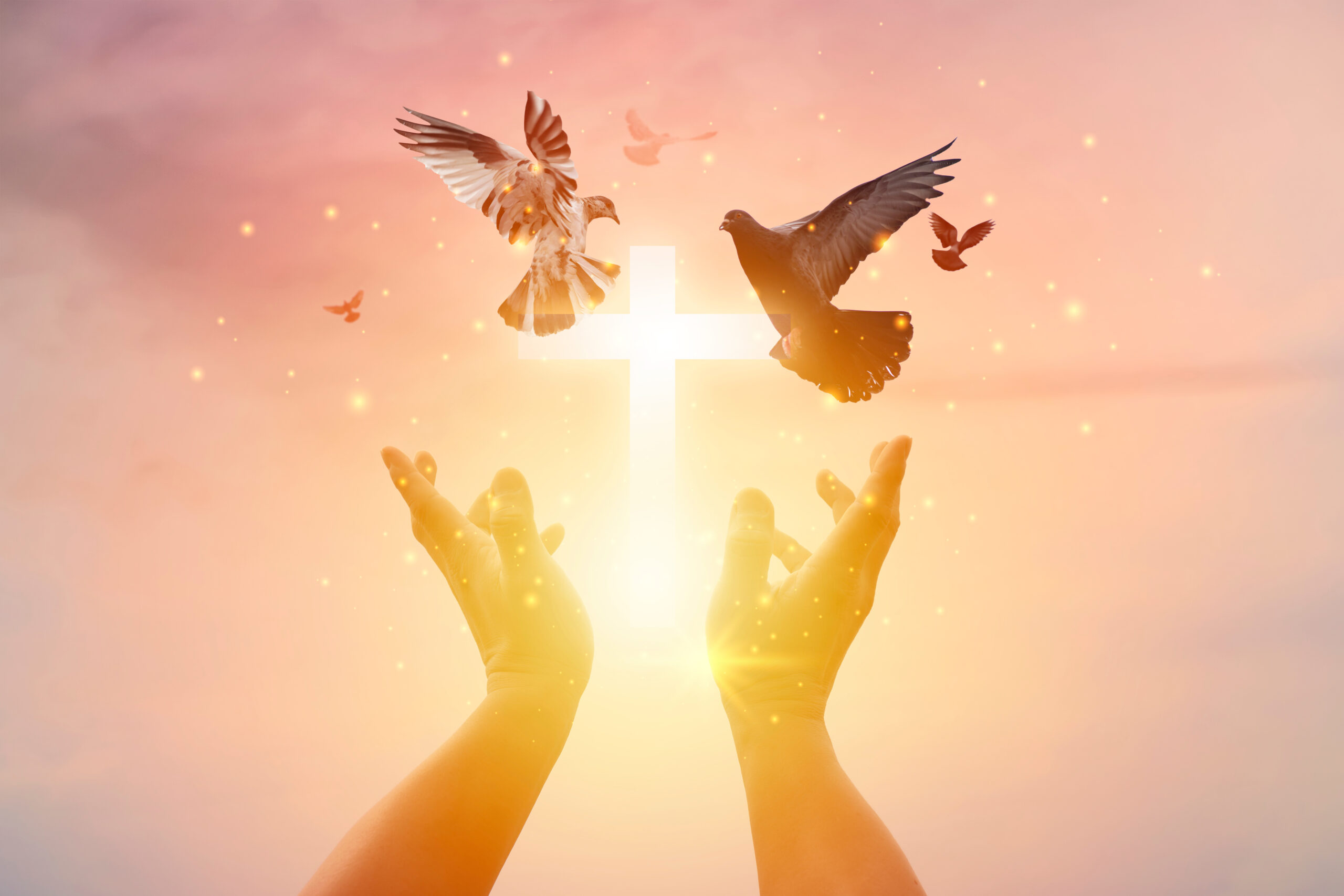 Sunday Devotional: Seeking peace