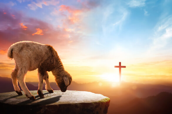 LIVE: TPUSA’s AmFest Ft. Erika Kirk, Donald Trump Jr., VP Vance, and ...