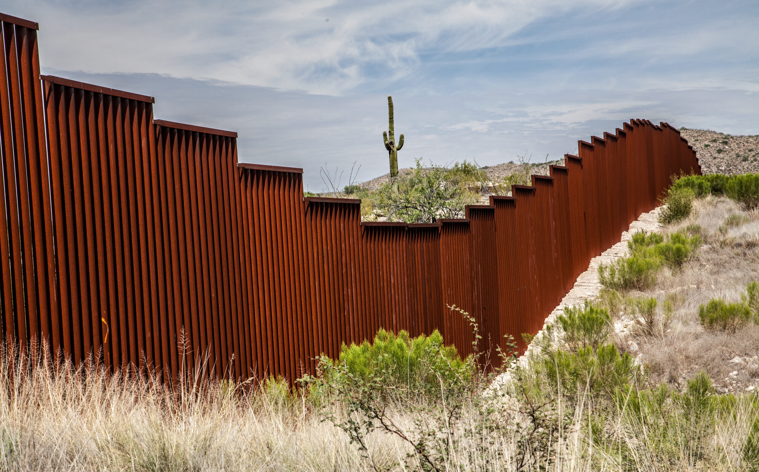 Rep. Brandon Gill destroys bill to grant amnesty to illegal immigrants